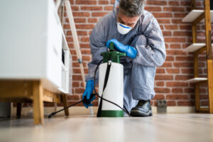 Apopka Pest Control Xperts | Trusted & Effective Pest Solutions